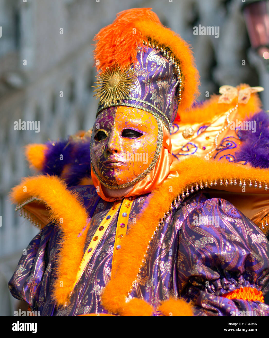 His magnificence on display Stock Photo - Alamy