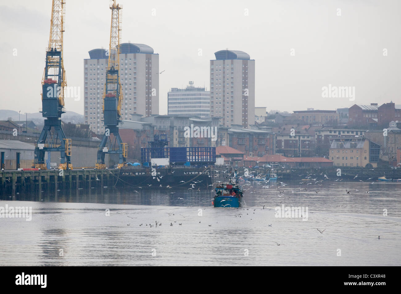 A small fishing boat trails seagulls as it return to the Fish Quay in ...