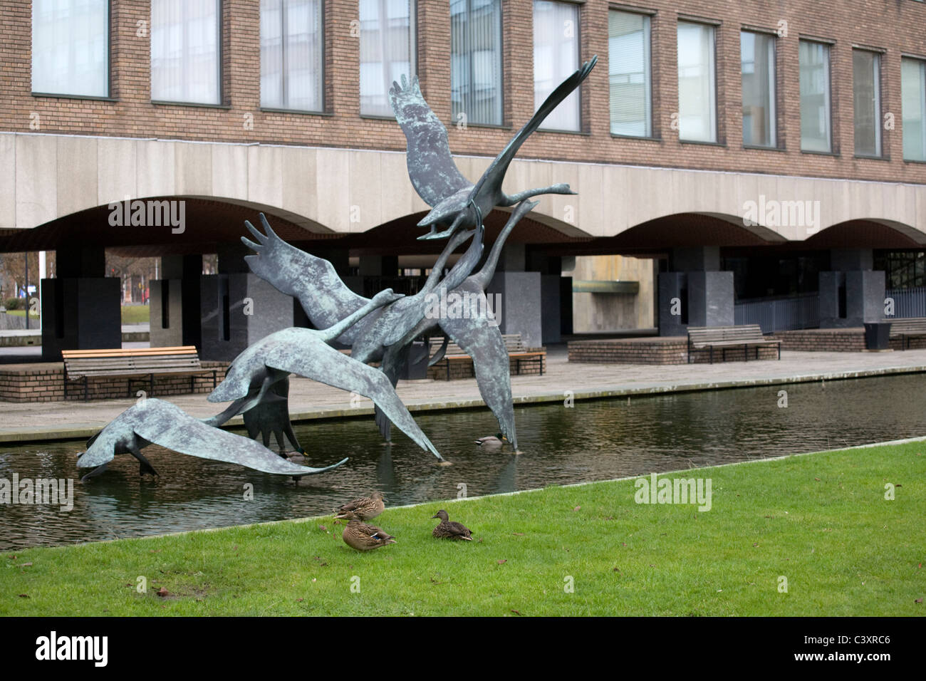 "Swans in Flight" by David Wynne (1968) in the grounds of Newcastle ...