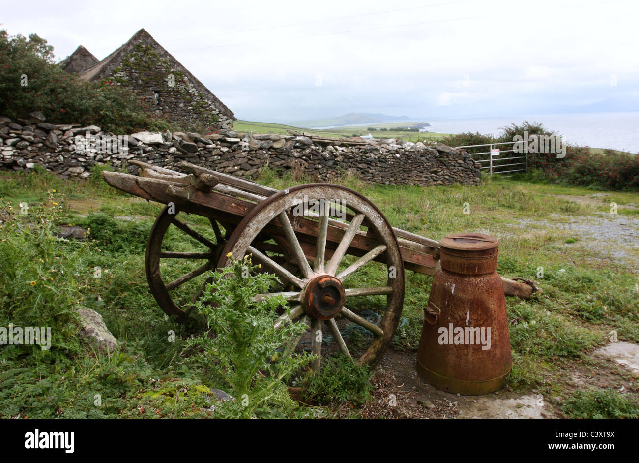 Donkey and cart ireland hi-res stock photography and images - Alamy