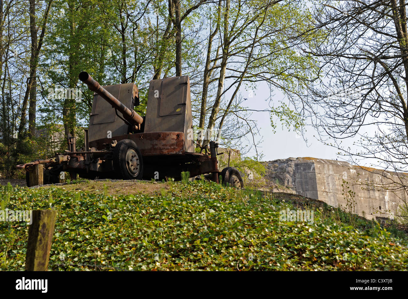 The Eperlecques blockhaus,Gun AA swedish Bofors,Pas de Calais,Nord-Pas ...