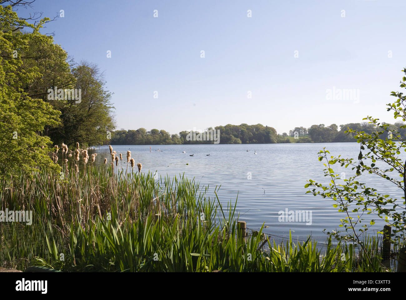 Ellesmere shropshire mere hi-res stock photography and images - Alamy