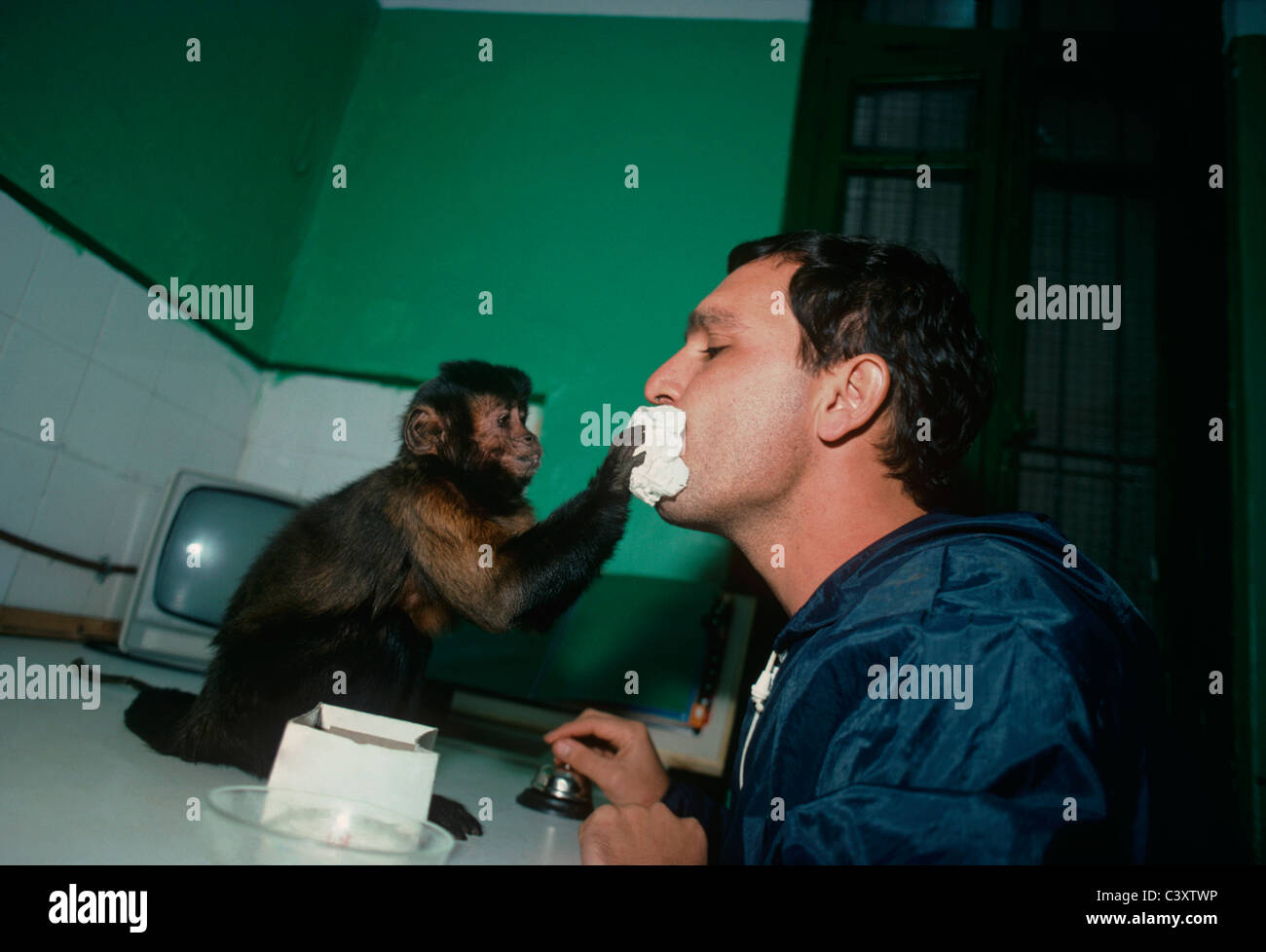 Helper monkey hi-res stock photography and images - Alamy