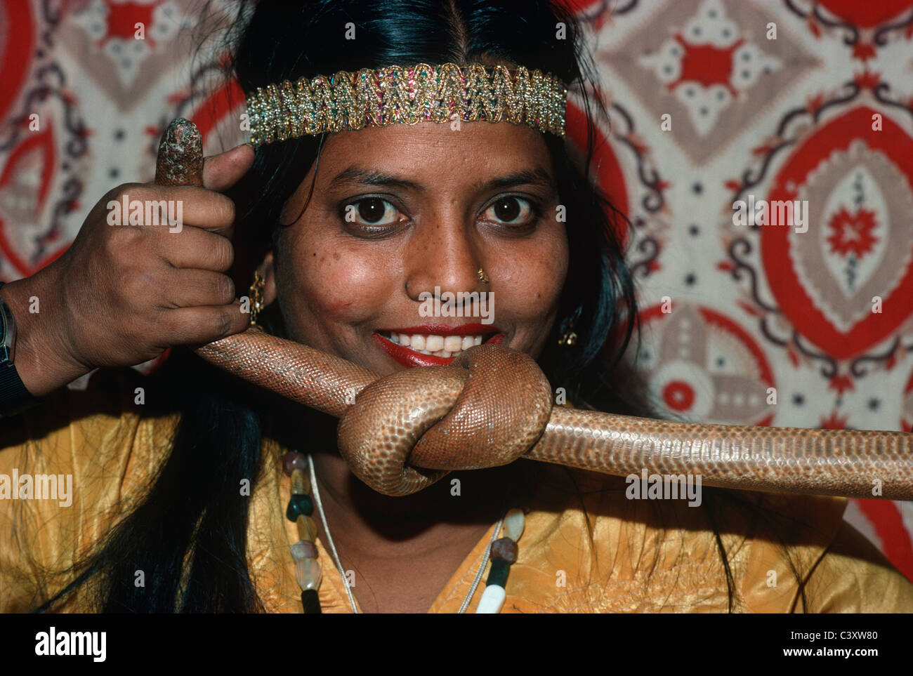 Snake Charmer ties a boa constrictor in a knot. Jaipur- India Stock ...
