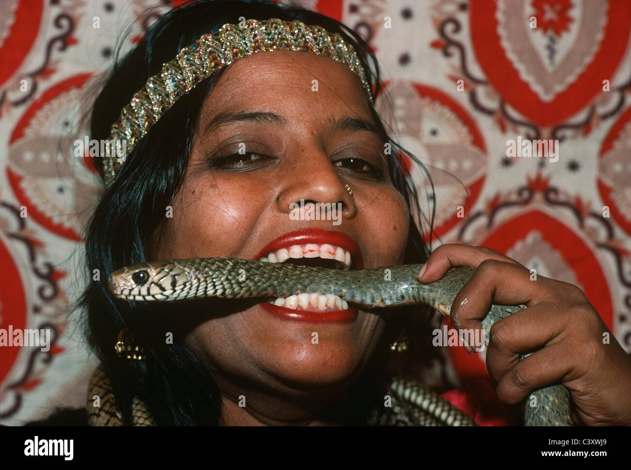 Snake Charmer holding a Cobra in her mouth. Jaipur- India Stock Photo ...