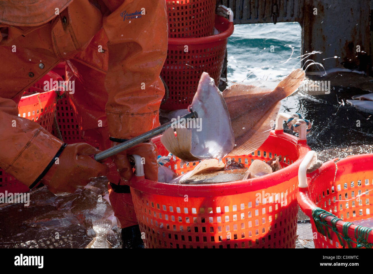 Sorting caught fish hi-res stock photography and images - Alamy
