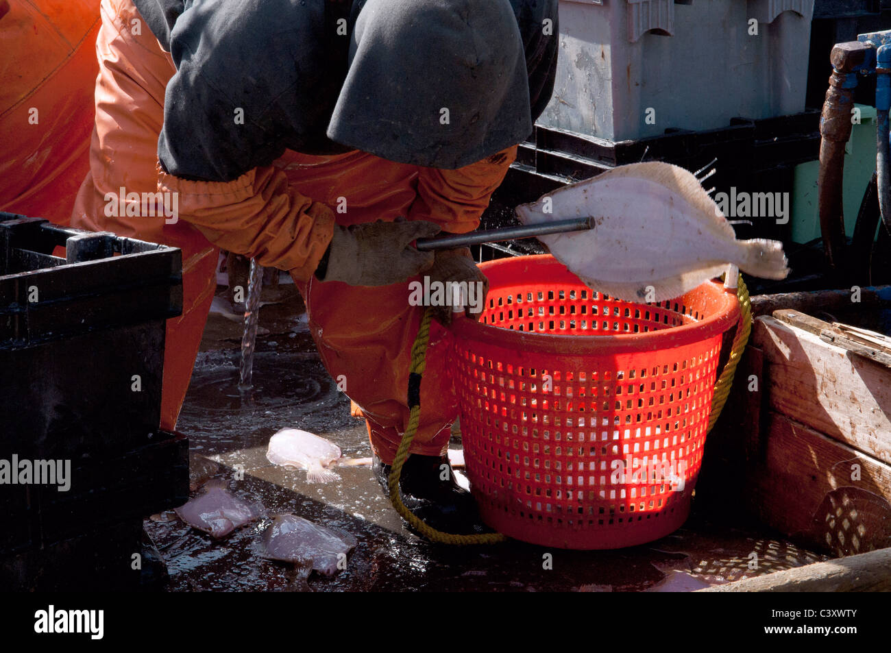 Fisherman sorting nets hi-res stock photography and images - Alamy