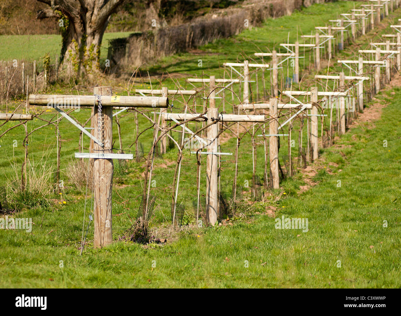 Ancre hi-res stock photography and images - Alamy