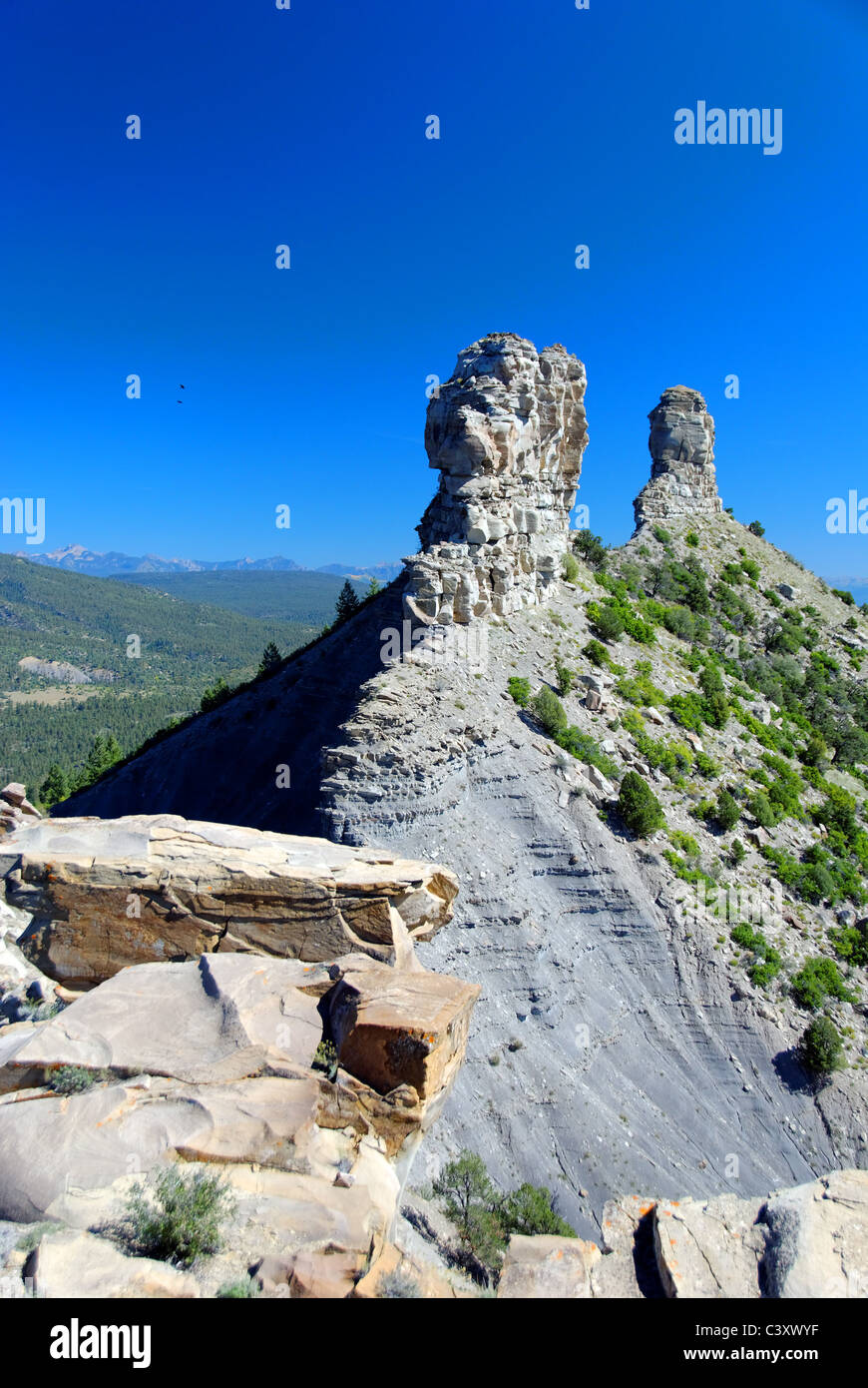 The Falcon Nest High Resolution Stock Photography and Images - Alamy