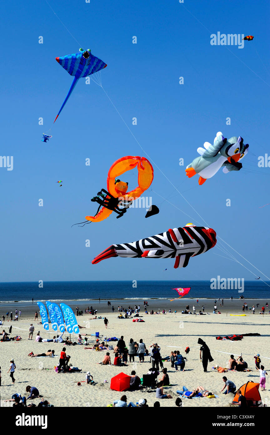 Peter Linn kites at International Kite Festival,Berck-sur-Plage,Pas-de ...