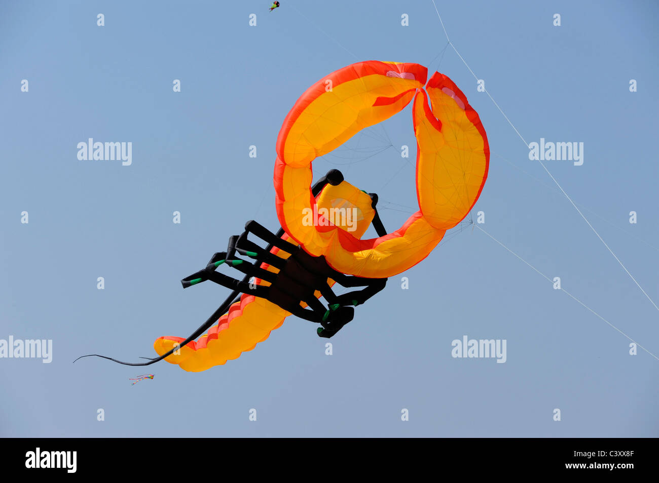 Lobster kite hi-res stock photography and images - Alamy