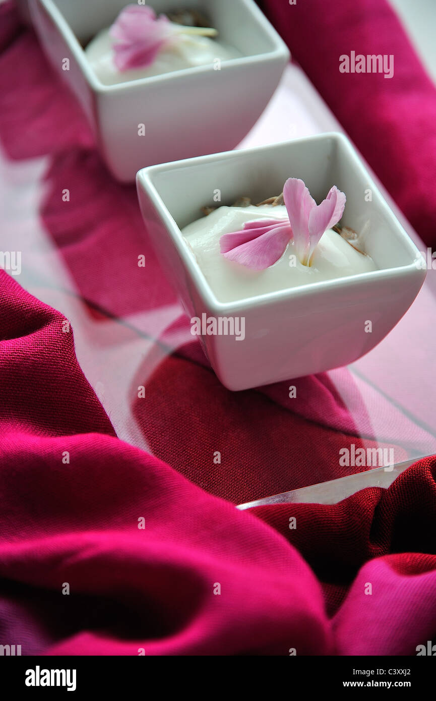 Natural yogurt with muesli in small square bowls Stock Photo - Alamy