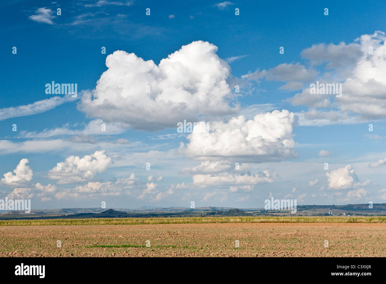 Landscape with sky and clouds Orange Free State South Africa Stock ...
