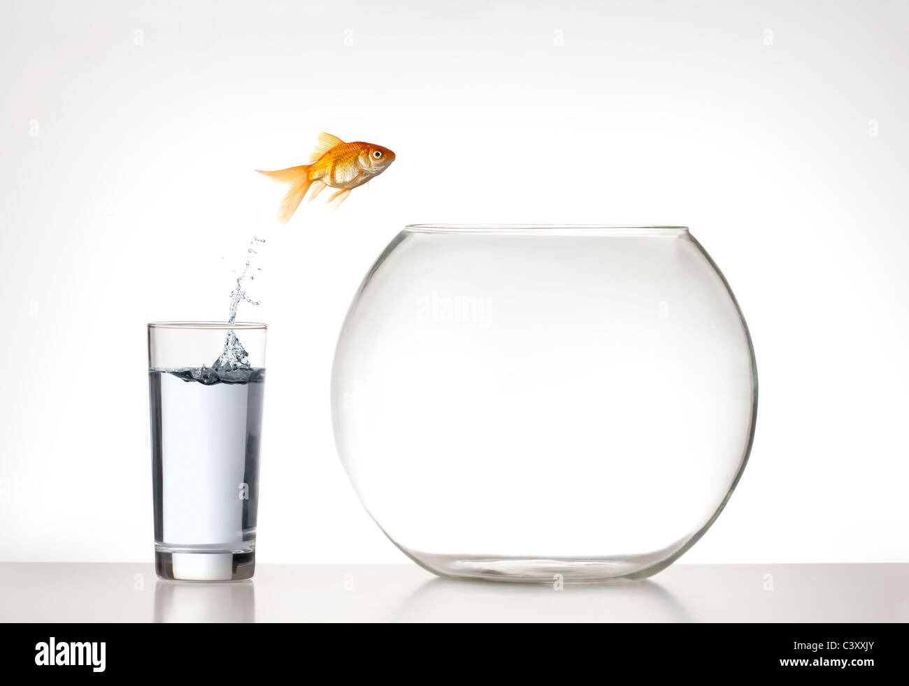 Goldfish water splash hi-res stock photography and images - Alamy