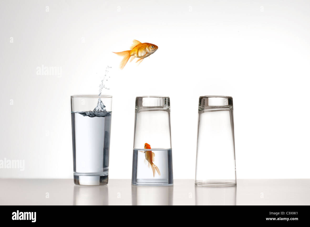 Goldfish water splash hi-res stock photography and images - Alamy