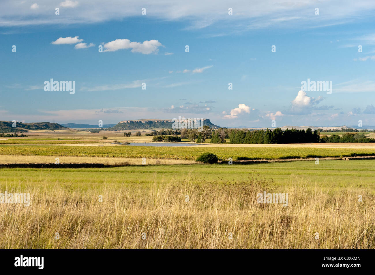 Orange free state hi-res stock photography and images - Alamy