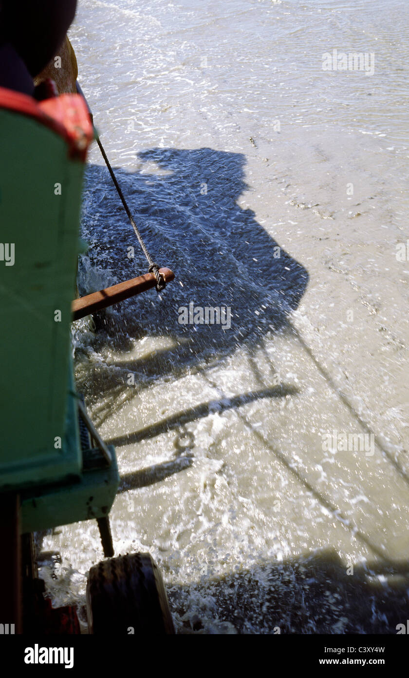 Wattwagen (horse drawn carriage) in the North German mudflats ...