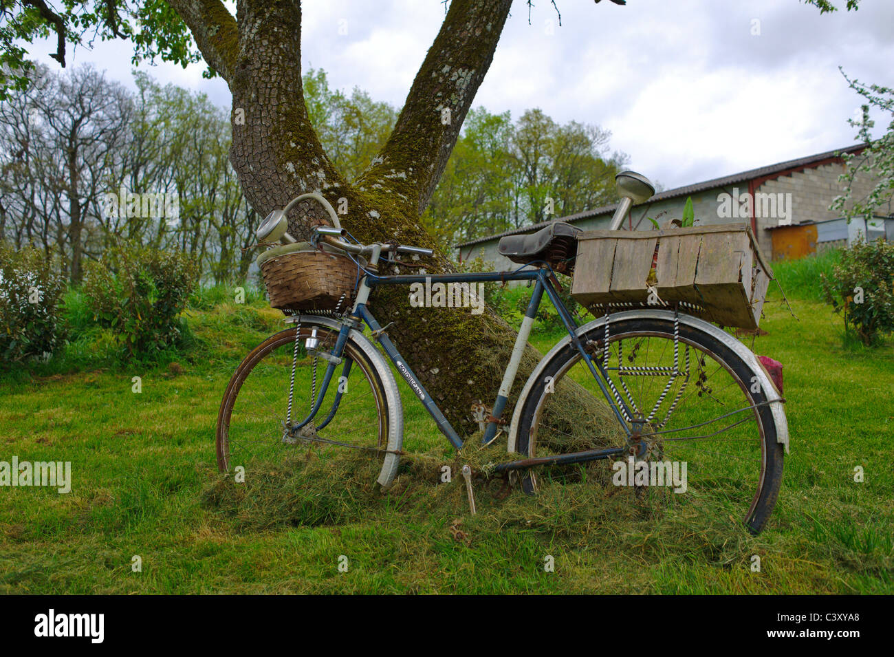 French bicycle basket hi-res stock photography and images - Alamy