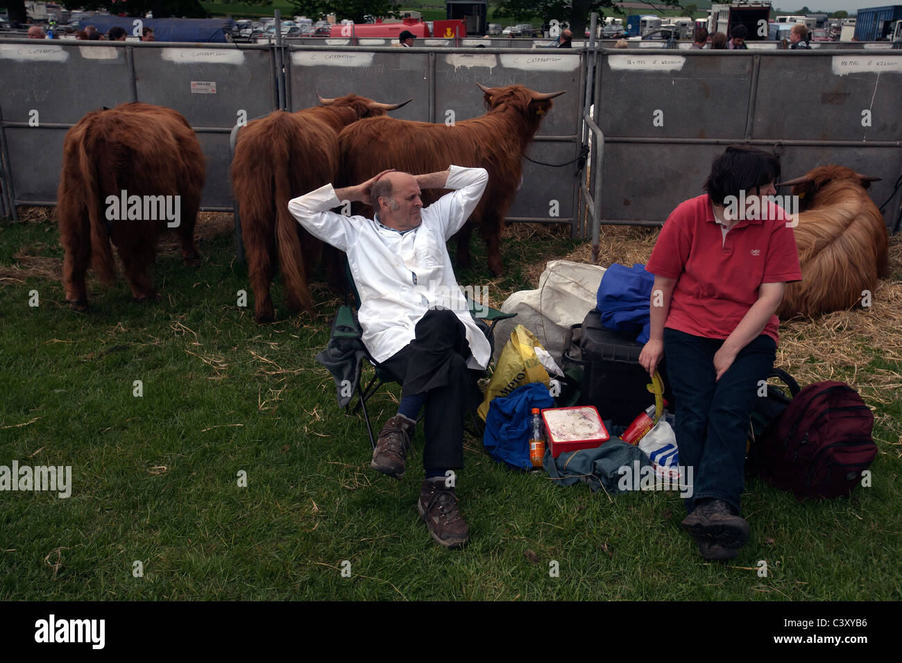 highland cattle owner at the fife county show in cupar Stock Photo - Alamy
