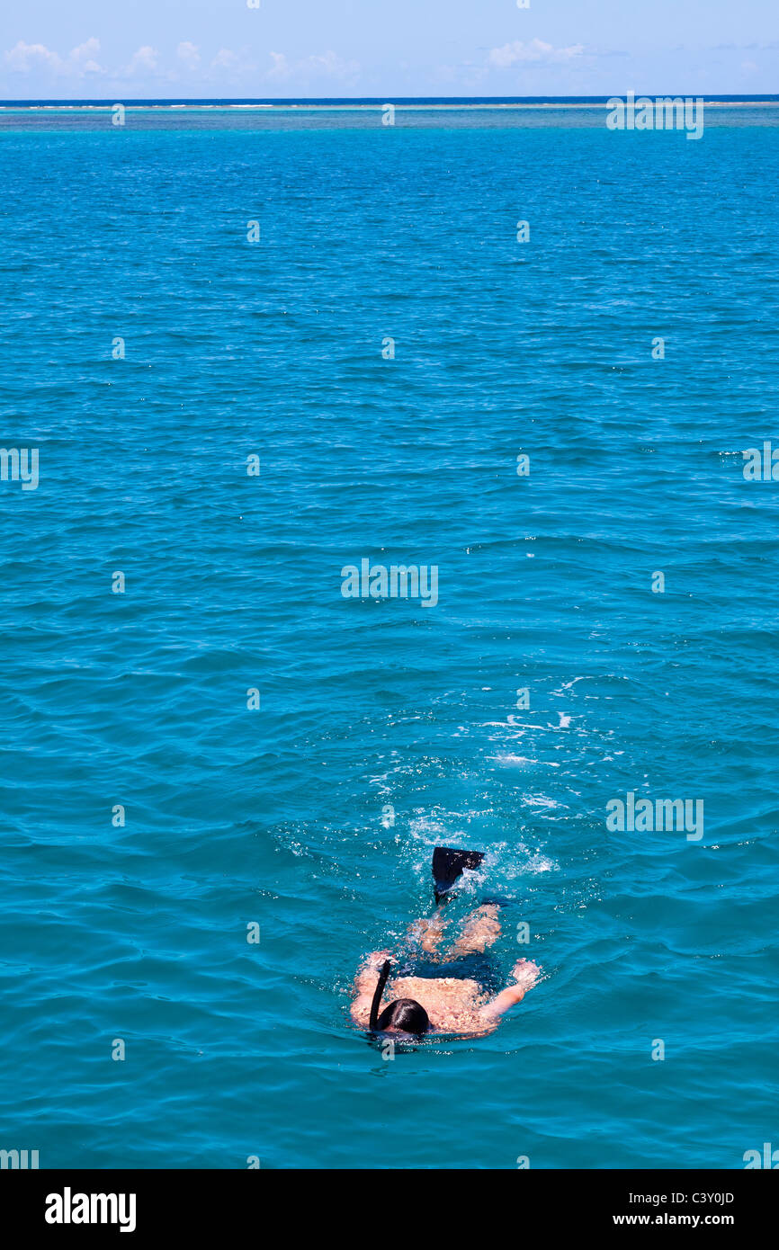 Snorkeling scene hi-res stock photography and images - Alamy