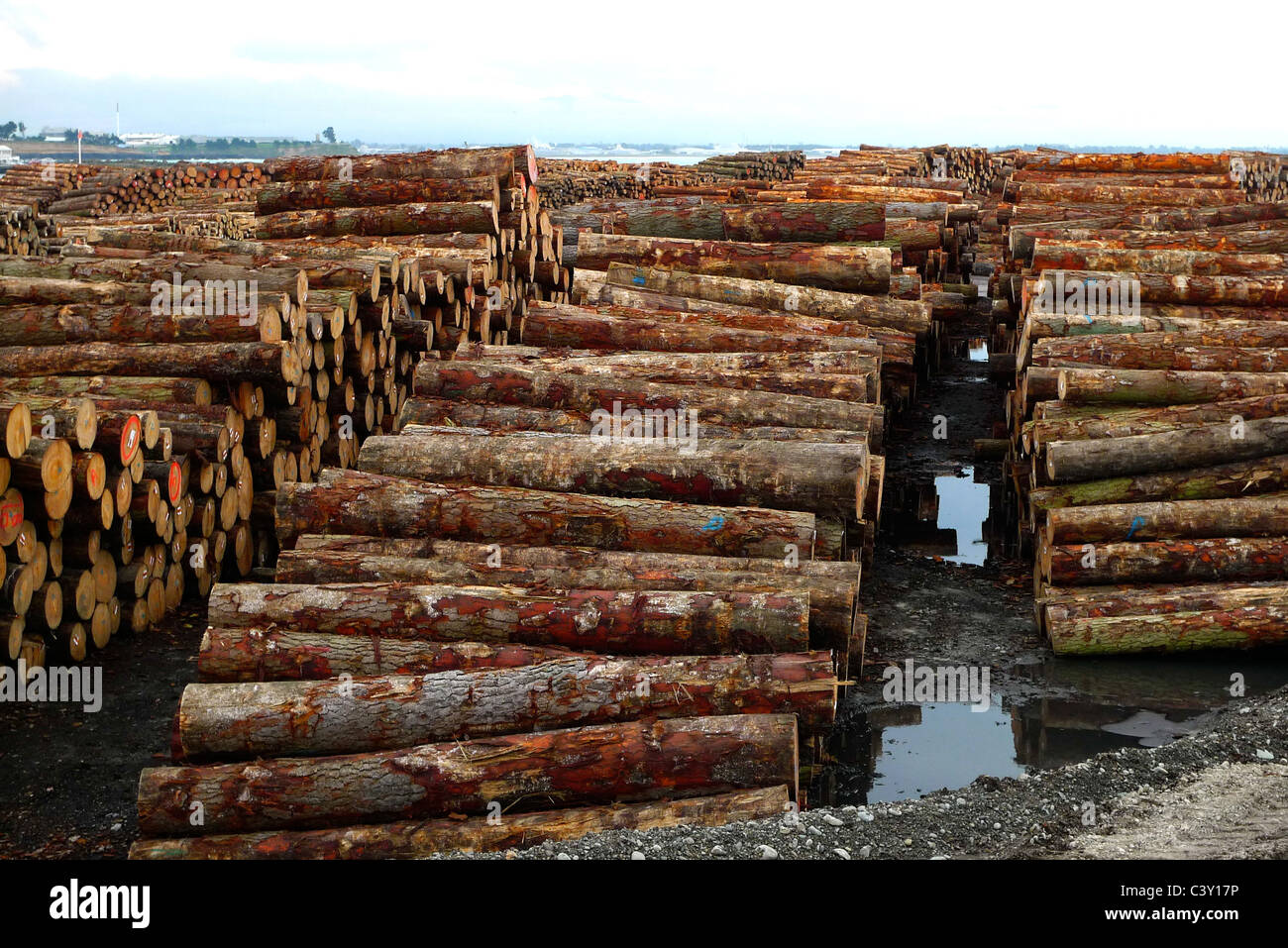 Timber logs Timaru New Zealand Stock Photo - Alamy