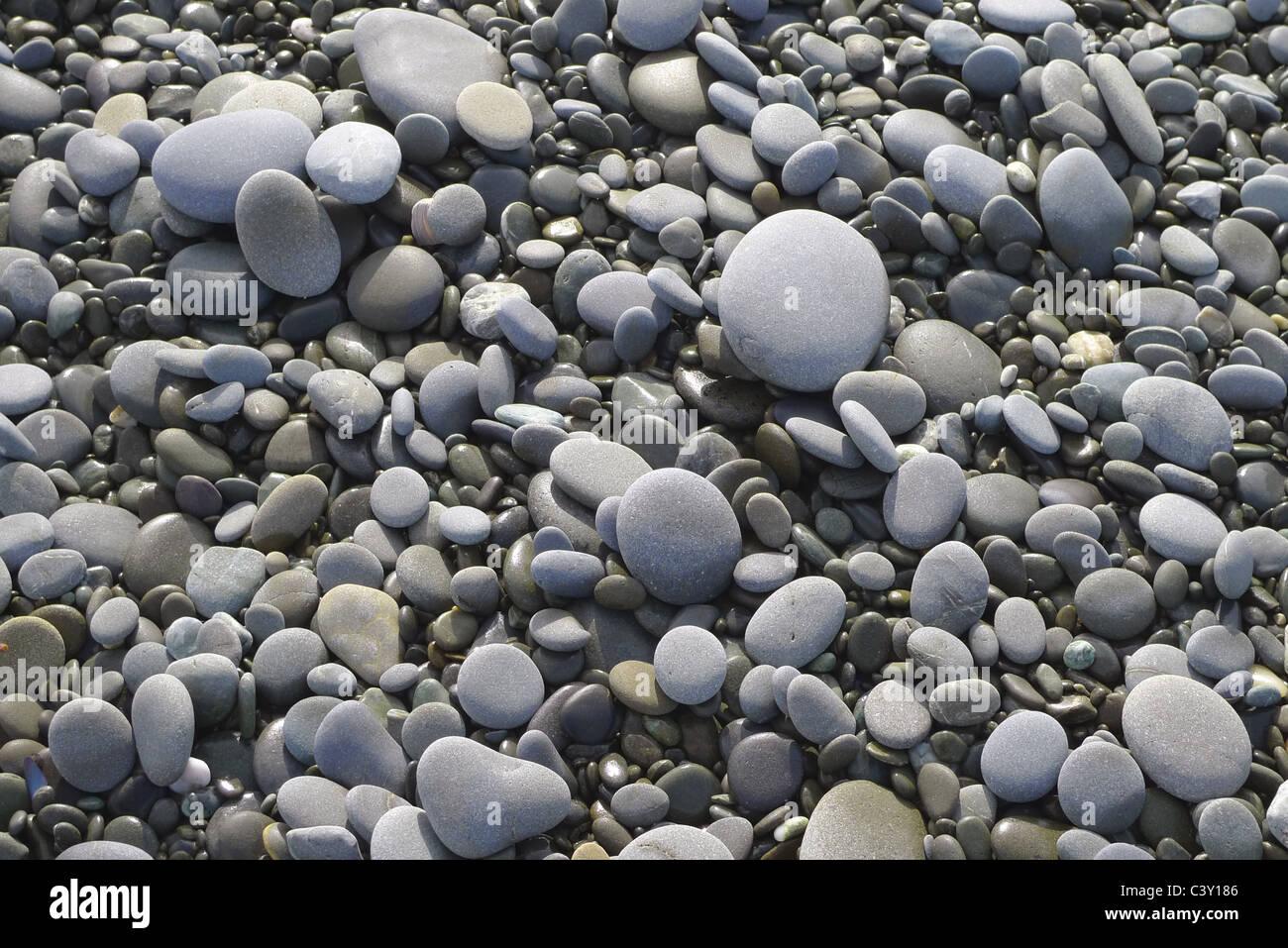 River stones Timaru New Zealand Stock Photo - Alamy