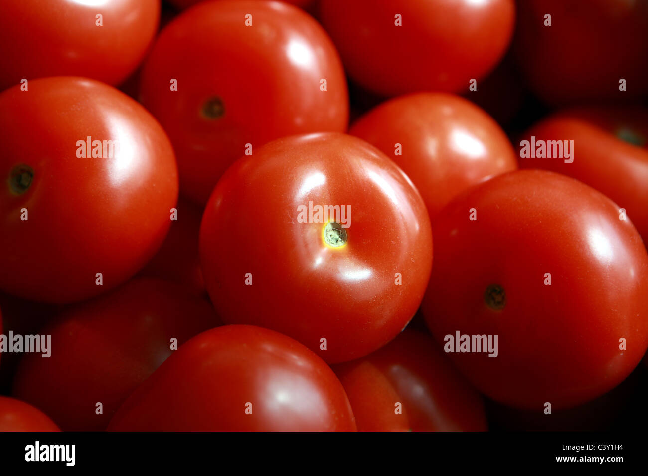 British tomatoes hi-res stock photography and images - Alamy