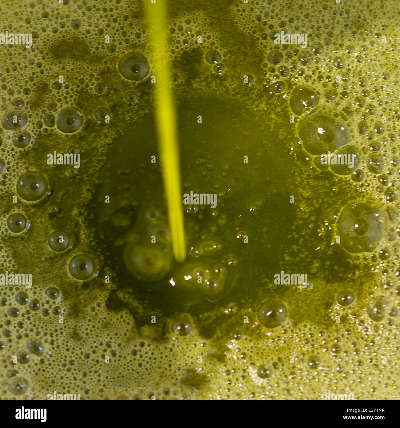 Freshly pressed olive oil pouring out of the press Stock Photo - Alamy