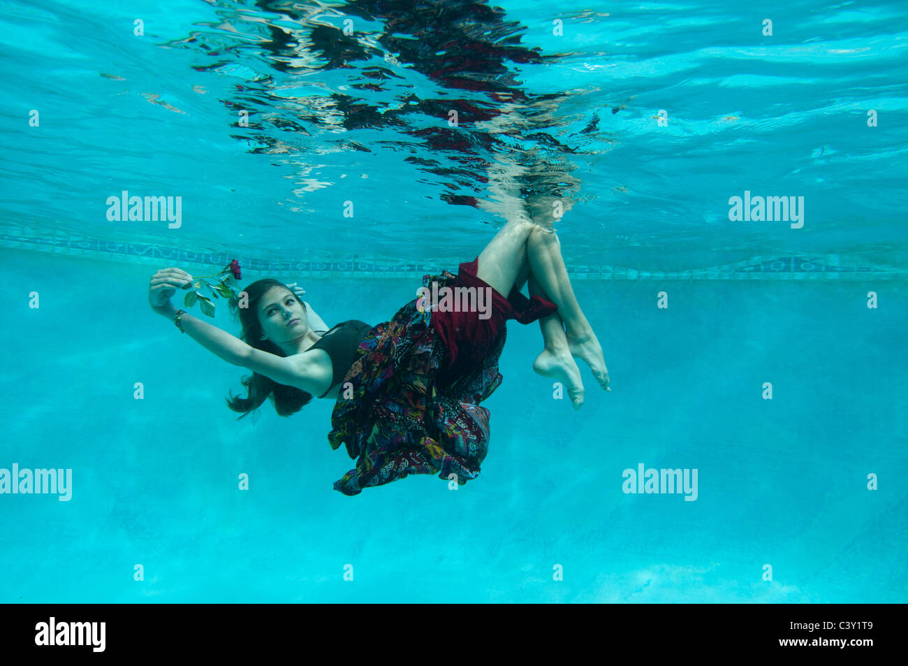 Flower Underwater Pool High Resolution Stock Photography and Images - Alamy