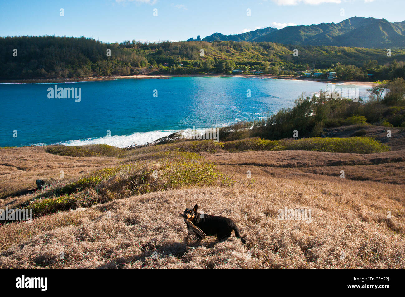 Moloa'a Bay, Kauai, Hawaii, USA Stock Photo - Alamy