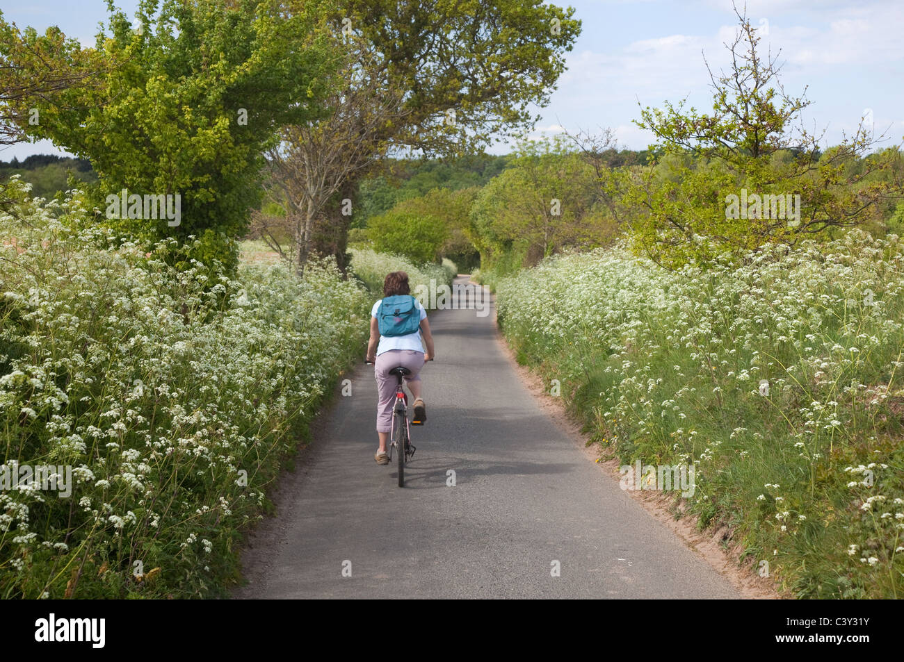 Northrepps hi-res stock photography and images - Alamy