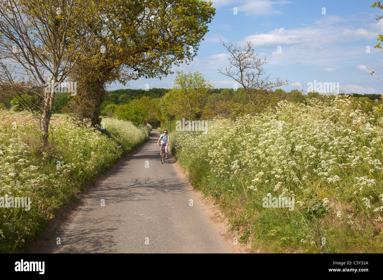 Northrepps hi-res stock photography and images - Alamy