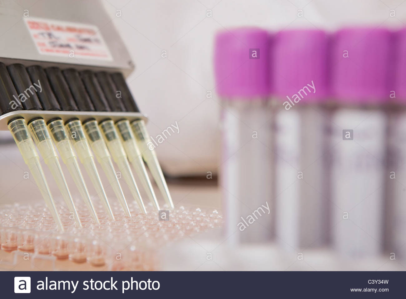 Laboratory Specimen Stock Photos & Laboratory Specimen Stock Images - Alamy