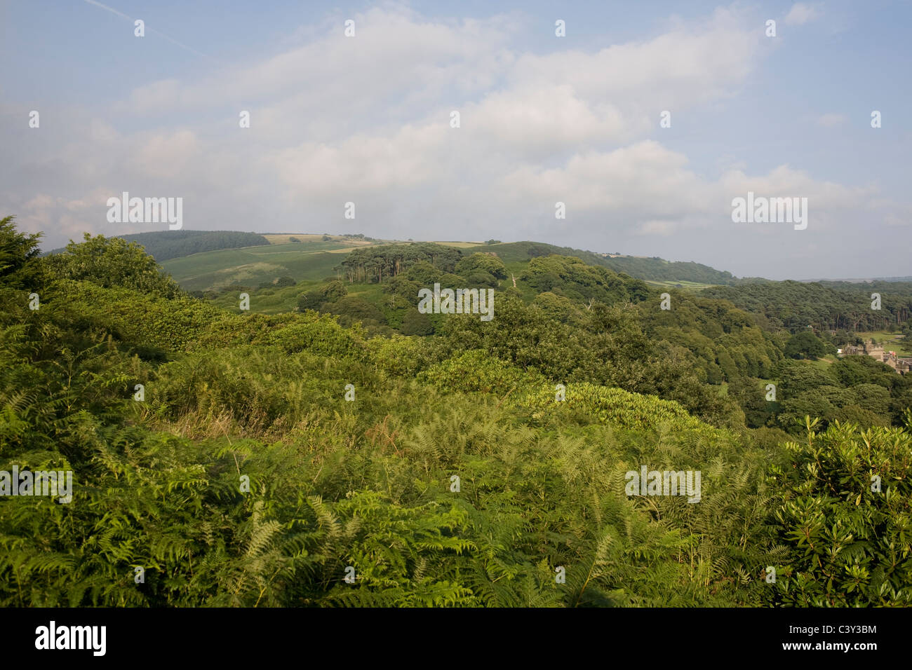 Margam Country Park, Port Talbot, West Glamorgan, Wales, woodland seen ...