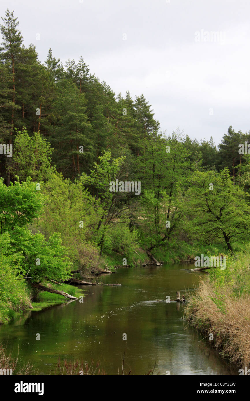 natural landscape: forest near a river Stock Photo - Alamy