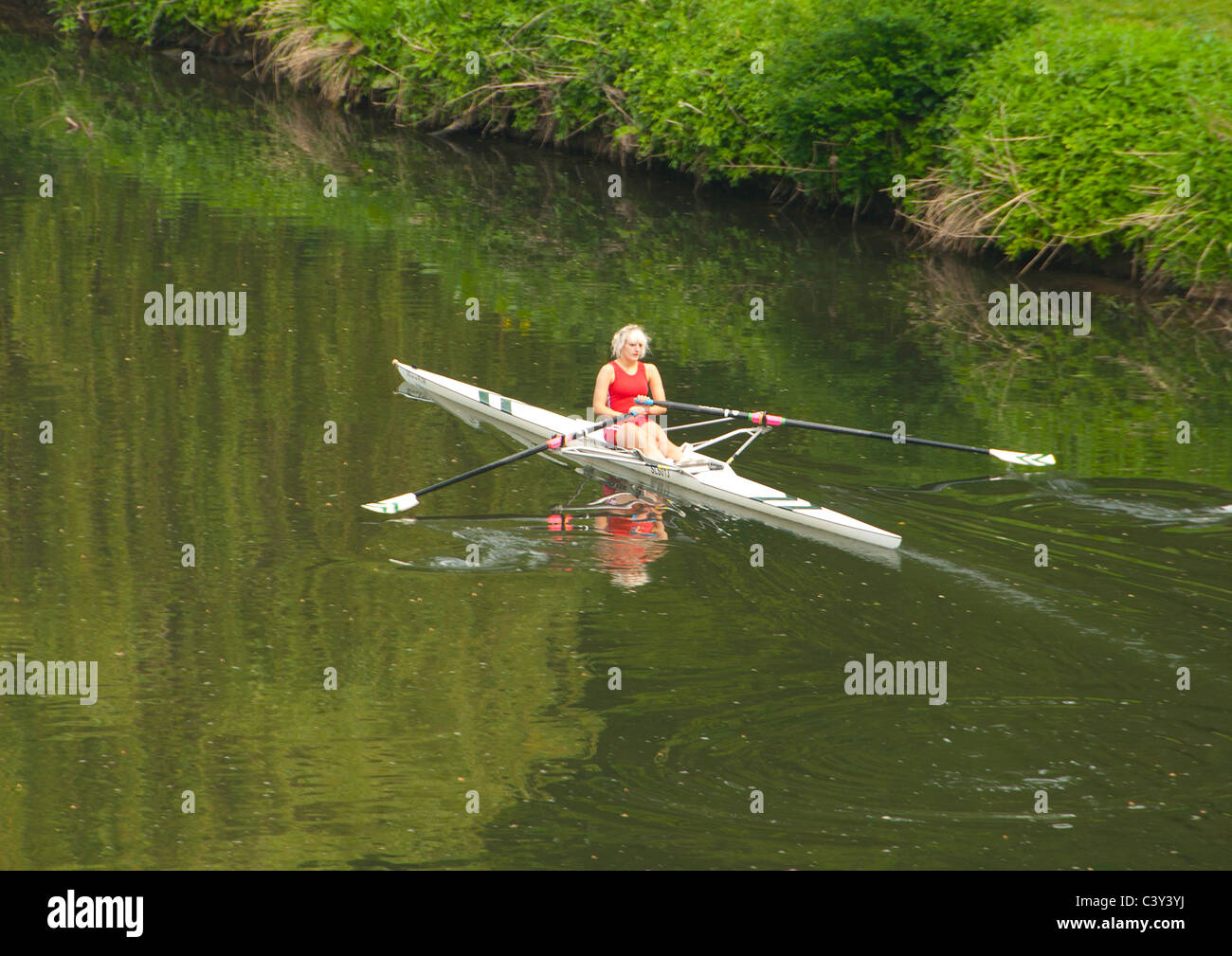 Rowing on the River Wear Stock Photo - Alamy