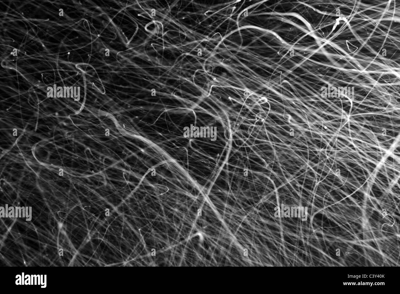 abstract white chaos lines on black - long exposure Stock Photo - Alamy