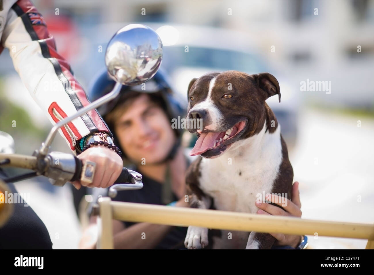 Dog on a motorbike Stock Photo - Alamy