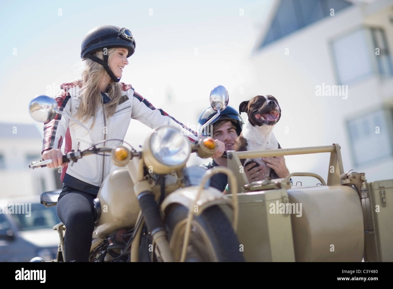 Motorbike, Sidecar, Dog High Resolution Stock Photography and Images ...