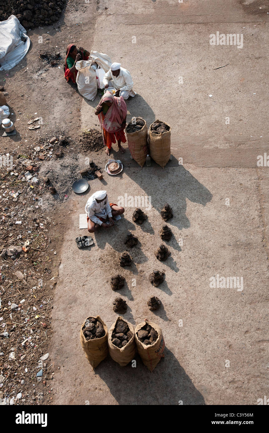 India, Maharashtra, Nashik Drying cow dung for fuel Stock Photo - Alamy