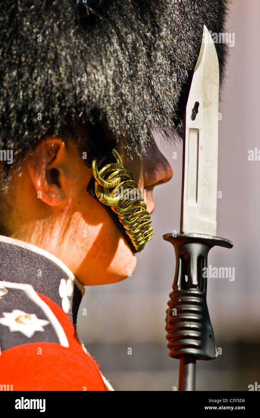 Bayonet hi-res stock photography and images - Alamy