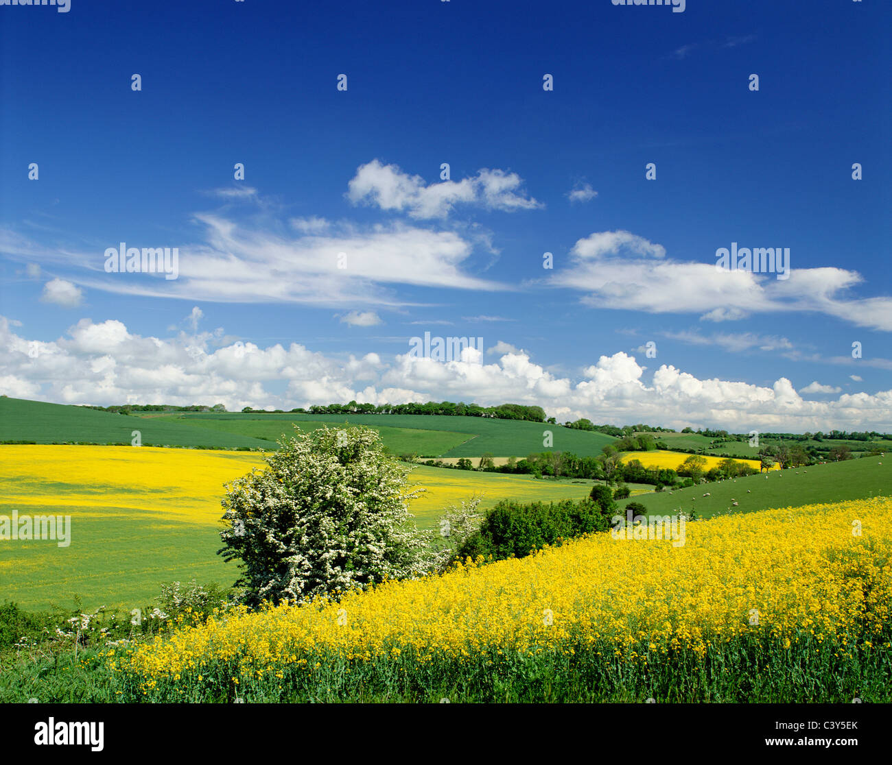GREAT BRITAIN KENT ALKHAM VALLEY Stock Photo - Alamy