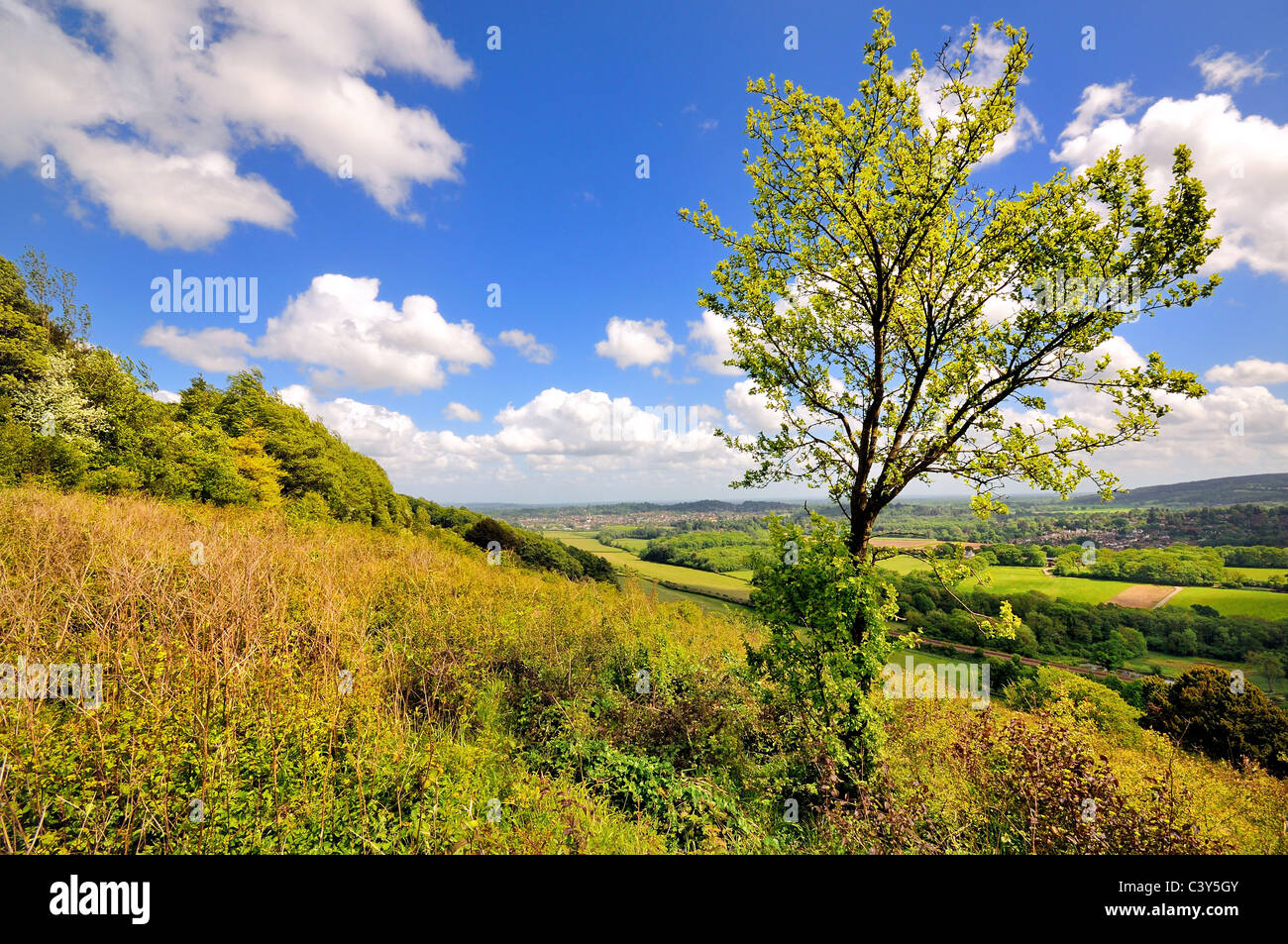 North downs hi-res stock photography and images - Alamy