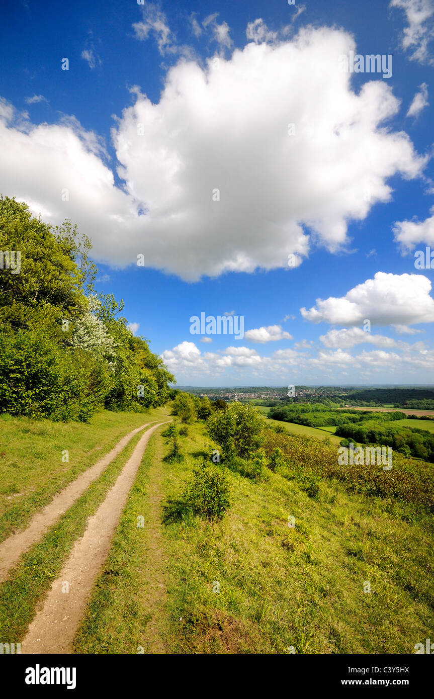 Ranmore Common ,Surrey Hills Dorking Stock Photo - Alamy