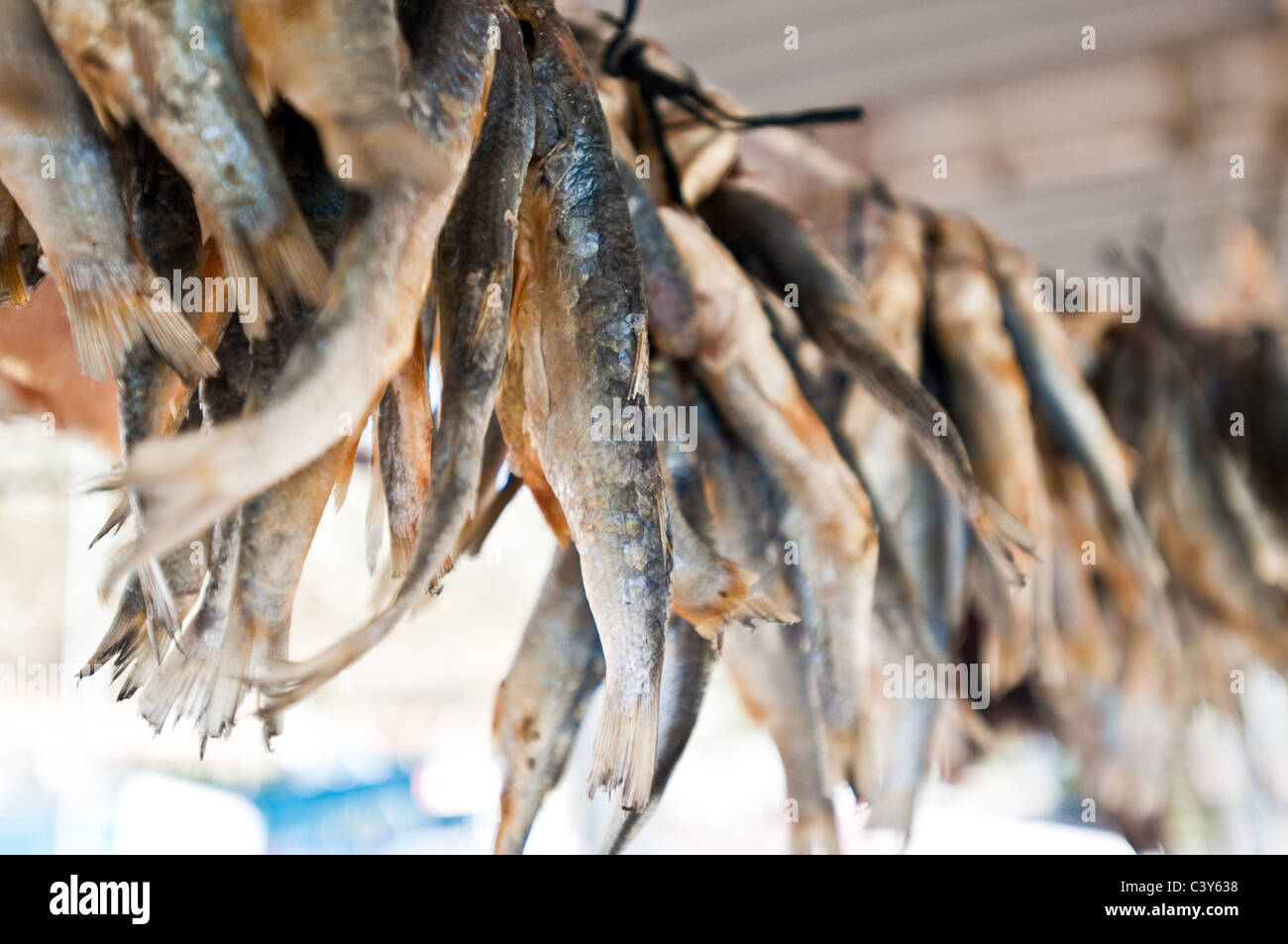 Fish hanging out to dry Stock Photo - Alamy