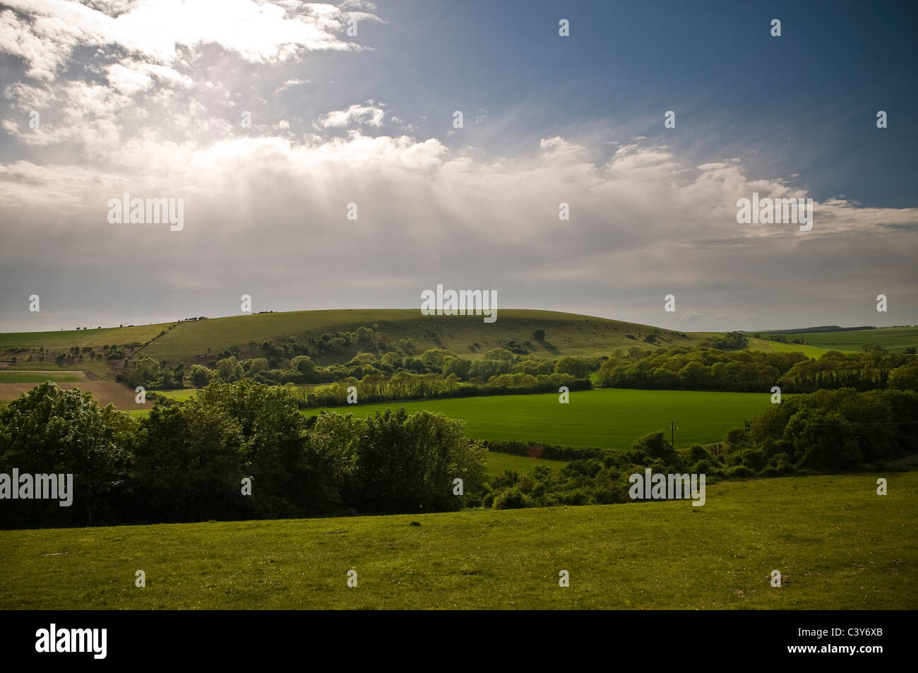 Blackpatch park hi-res stock photography and images - Alamy