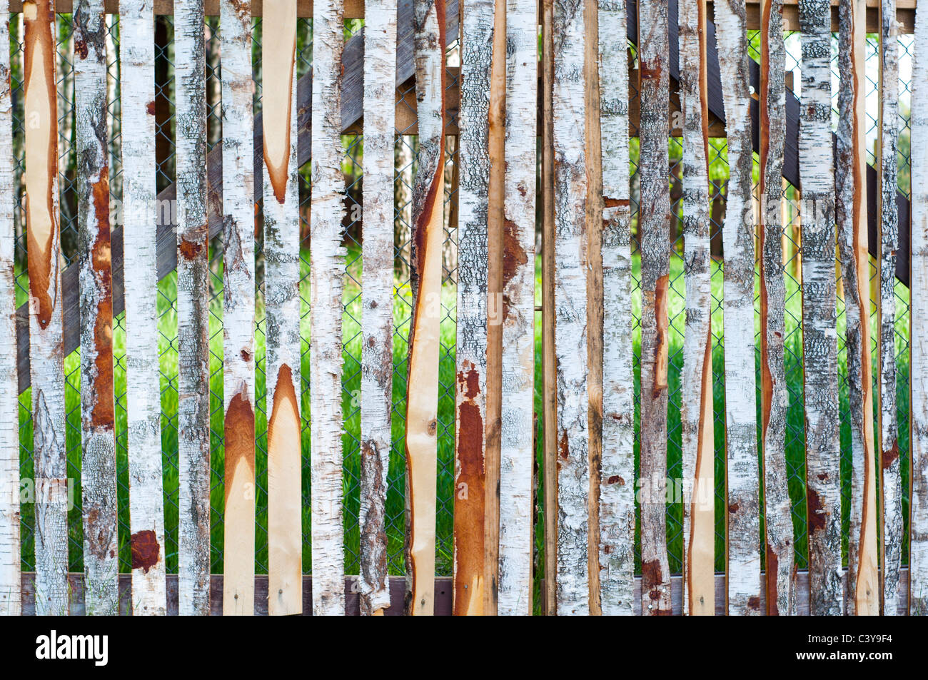 fence constructed of planks of birch Stock Photo - Alamy