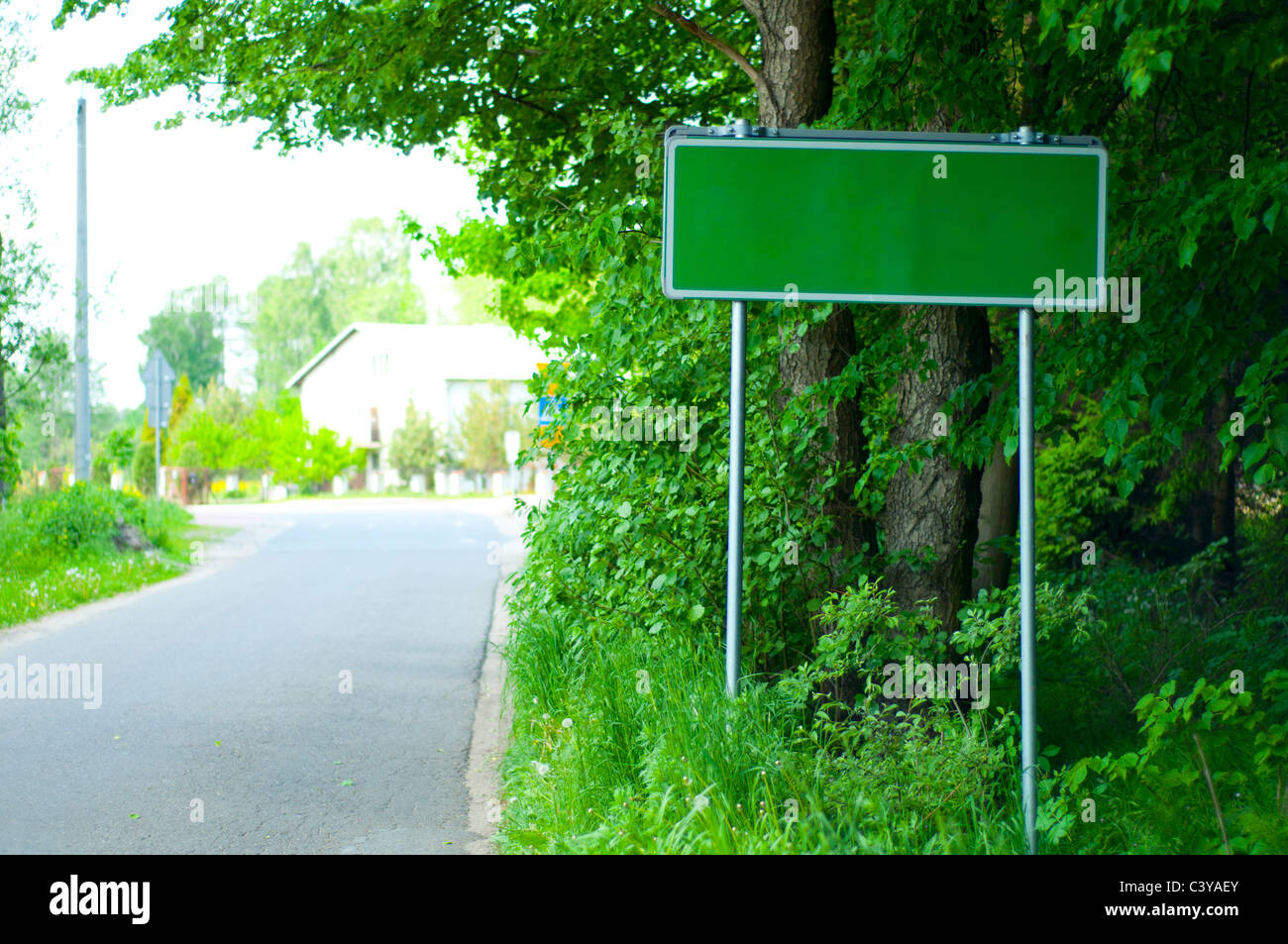 Common city sign in trees Stock Photo - Alamy