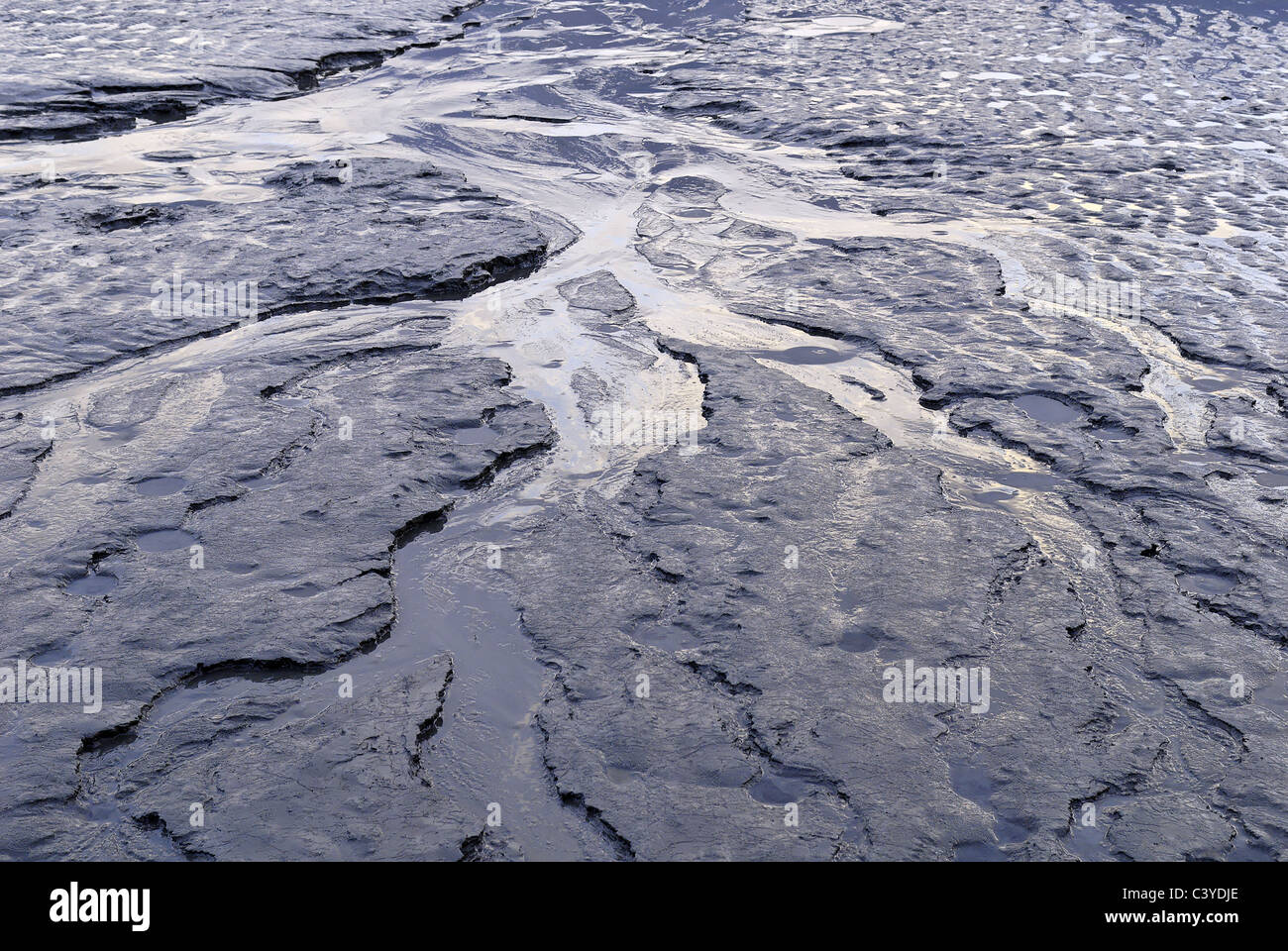 Turnagain, Cook Inlet, Alaska, USA, America, brook, low, ebb, tide ...
