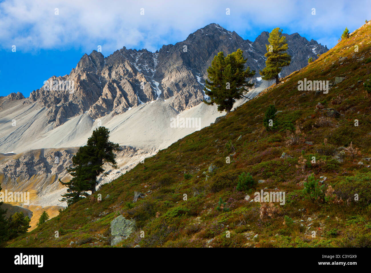 Alp Tavru, Switzerland, canton Graubunden, Grisons, Val S-charl, Alp ...